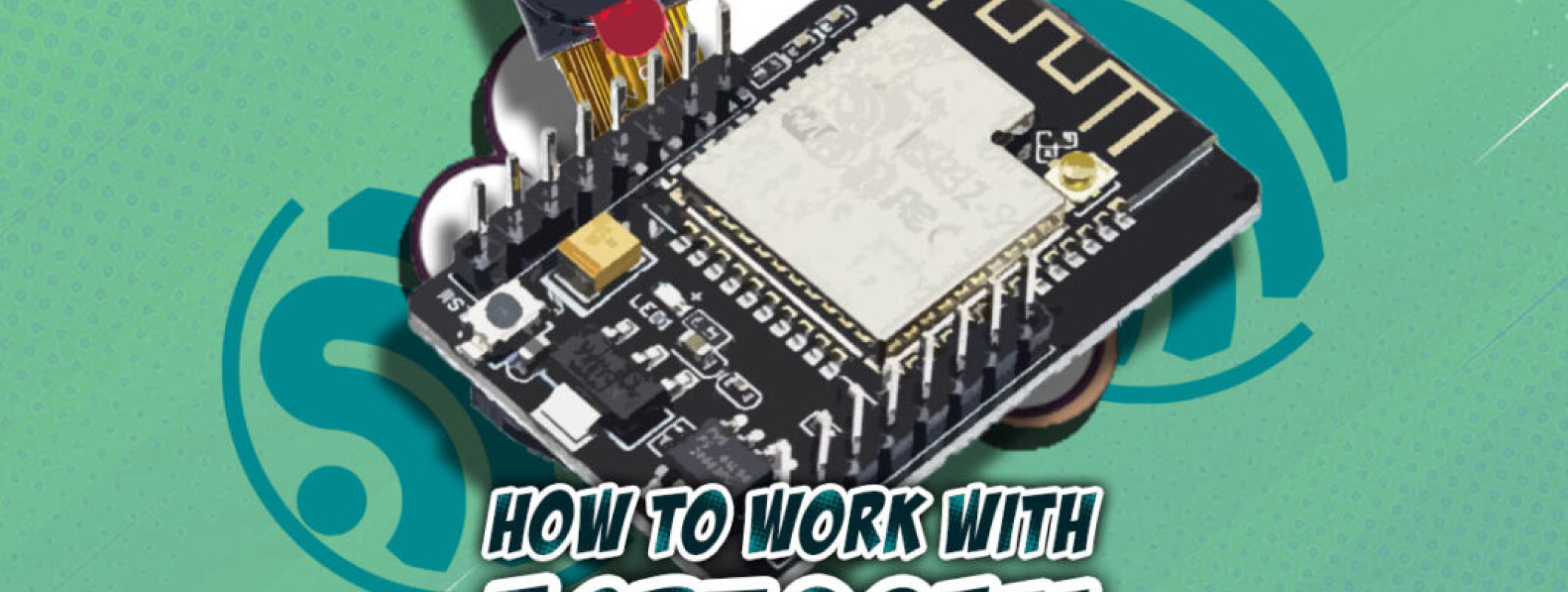 0 Comment(s) 384 View(s)